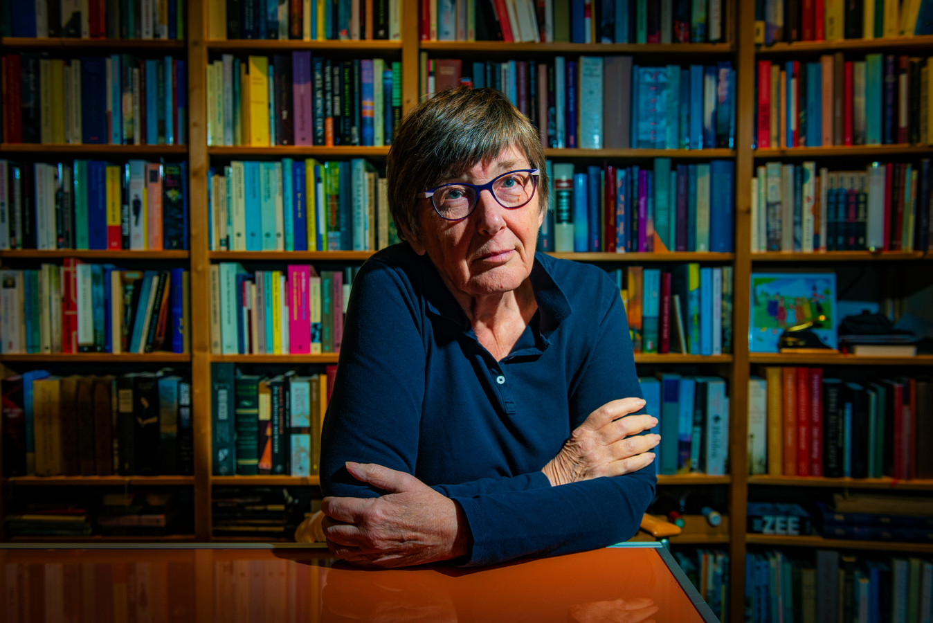 Will van Sebille wil erkenning voor afstandsmoeders: ‘Je zit levenslang ...