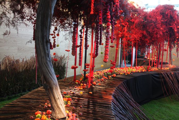 Dit zijn de kandidaten voor De Nieuwe Lijst en hun plannen voor ...