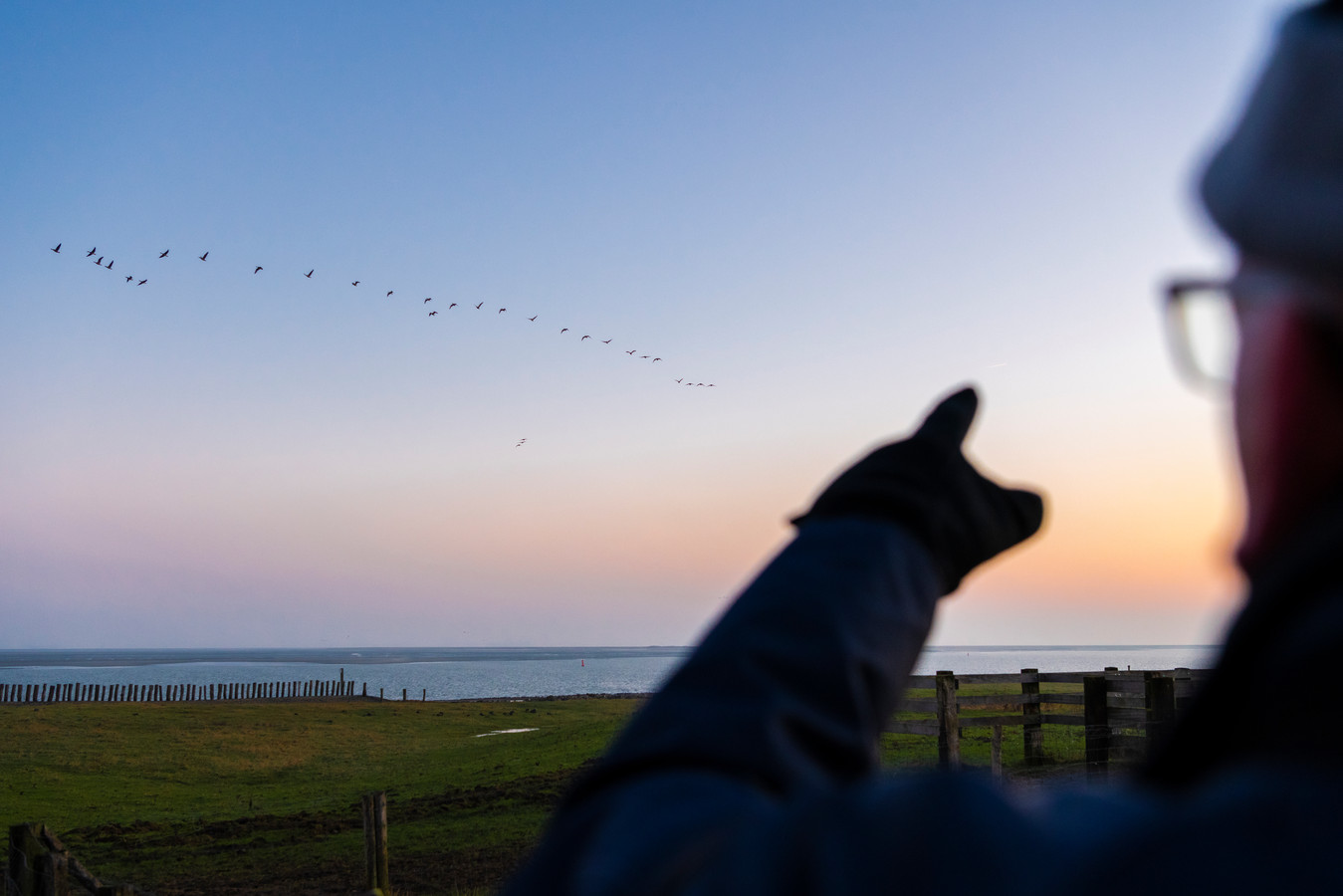 Donker, vroeg en koud: dat is het allemaal waard, als duizenden ganzen ...