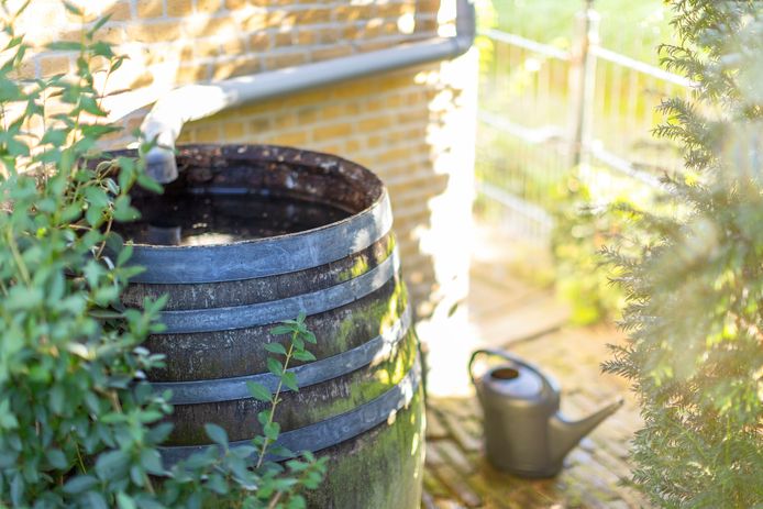 Hoeksche Waard trekt twee ton aan subsidie uit voor opvangen regenwater ...