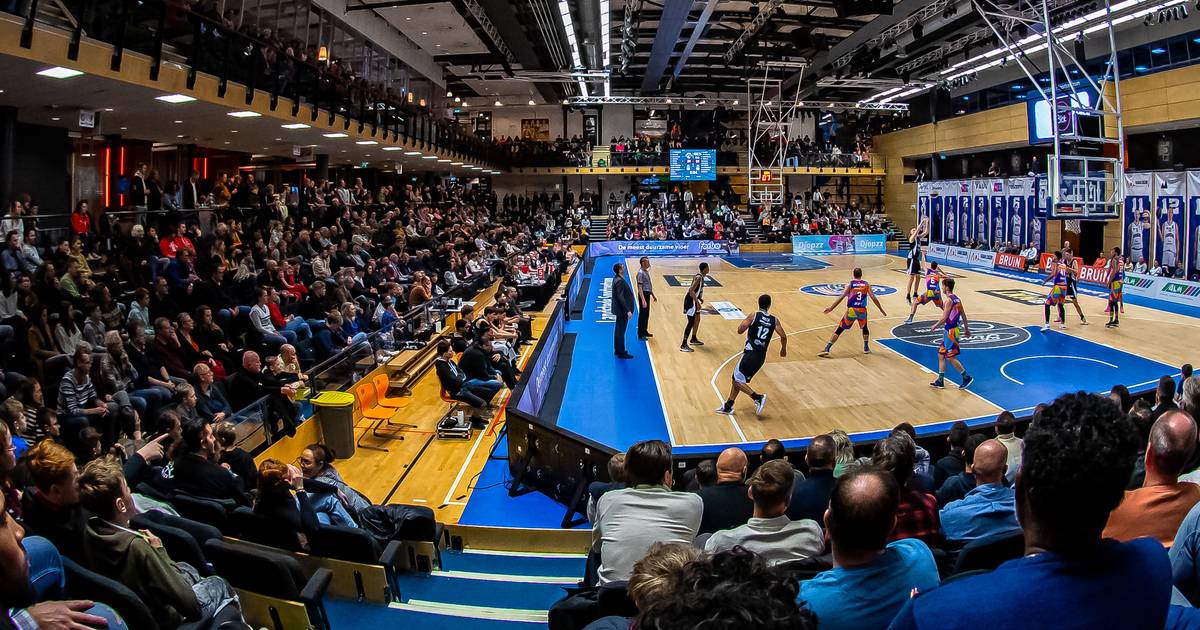 Landstede Hammers haalt met Terrence Bieshaar volgende nieuweling in ...