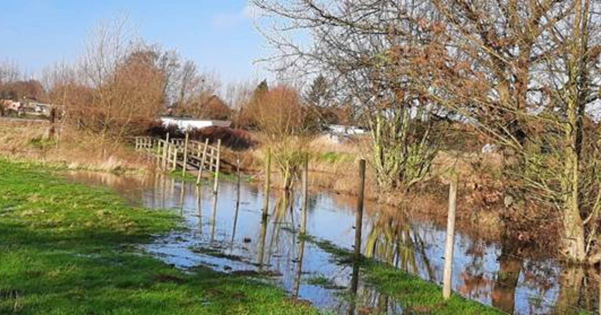Subsidies helpen COWALA landbouw- en natuurgebieden te wapenen tegen ...