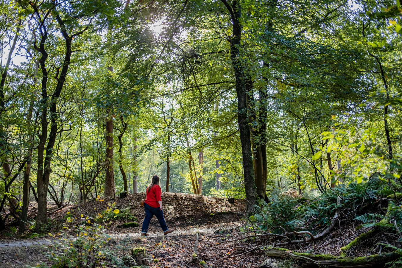 Met het Bos van Oss moet de stad een nieuwe groene long krijgen, maar ...
