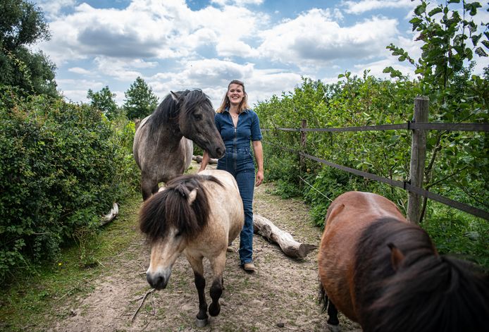Laura ontwerpt paardentuinen: ‘Ze lígt te eten! Dat is wel heel relaxed’ | Beuningen ...