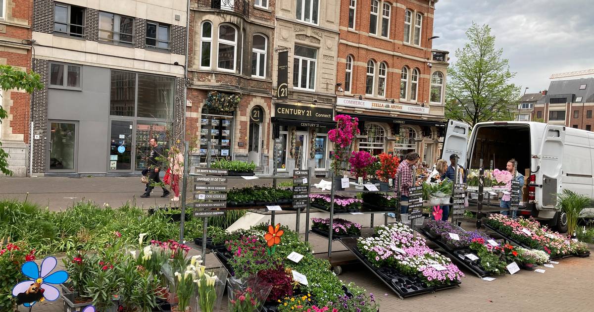 Tuinadvies en gratis potgrond: stad Leuven trakteert op Bloemenmarkt | Leuven | hln.be