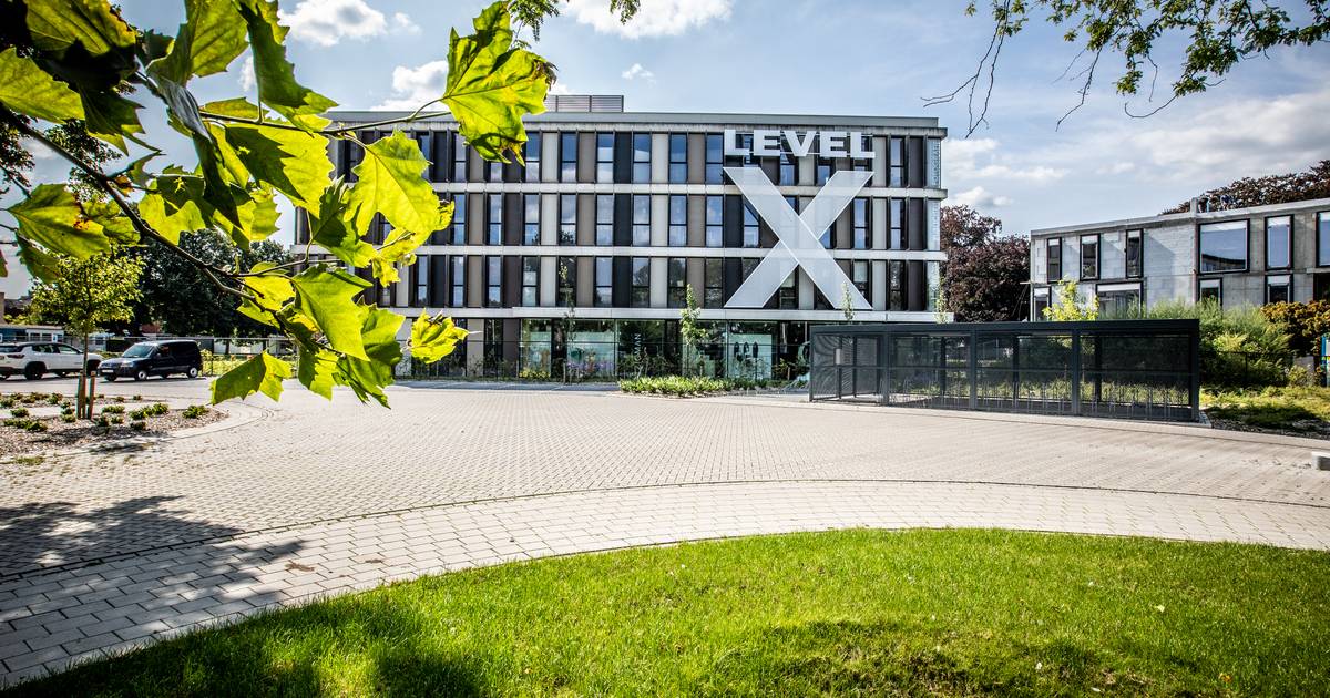 SCHOLENRONDVRAAG. Middelbare school GO! Next Level X stoomt zich klaar voor voltijds onderwijs ...