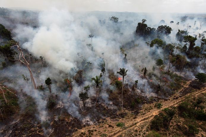 Brazilië zwakt bescherming regenwoud af | Milieu | hln.be
