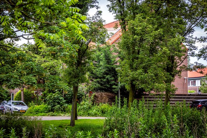Buren Vlaardings pleeggezin hadden zwaargewond meisje (10) 'met haar stralende lach' al weken ...