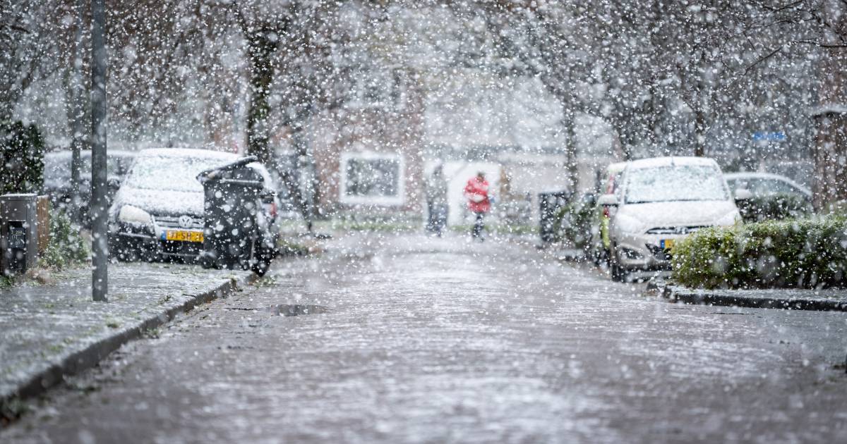 Winterse buien trekken over Nederland: tot wel 5 centimeter sneeuw in Zuid-Limburg verwacht ...