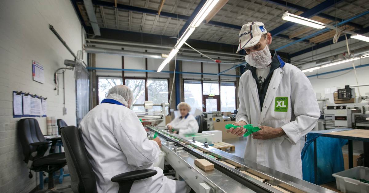 Angstcultuur bij Weener XL in Den Bosch, manager tijdelijk naar huis ...