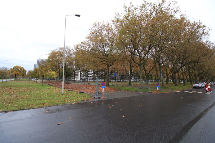 Nieuwe hondenloopzone op Linkeroever goedgekeurd | Antwerpen | hln.be