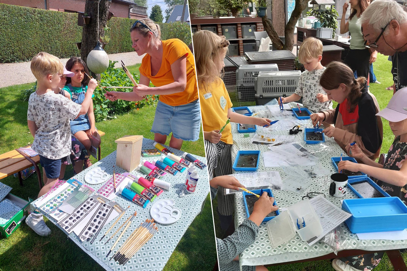Vogelopvangcentrum organiseert leuke workshops voor kinderen | Foto ...