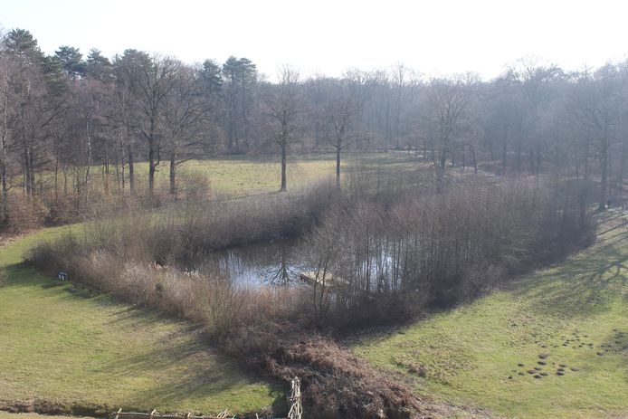 Op wandel naar de uitkijktoren in het Leen: bekijk het Meetjesland ...