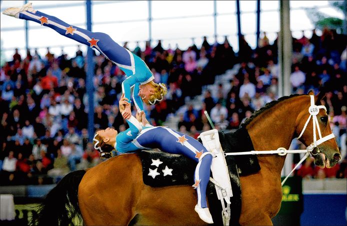 Voltige-team de Wittegheit uit Odiliapeel mag naar EK in Zweden ...