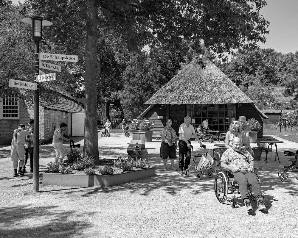 Fotograaf Corine Maas liep een jaar lang mee op De Tongerlose Hoef: ‘Zo’n mooie en interessante ...