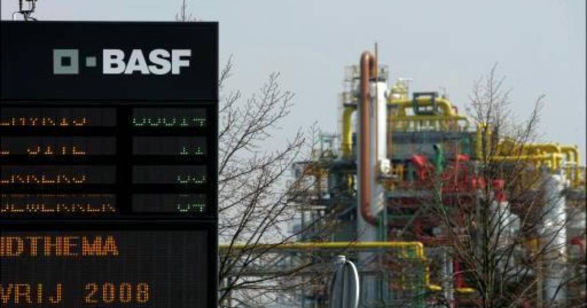 BASF Antwerpen lijdt 345 miljoen verlies ondanks recordomzet | Economie ...
