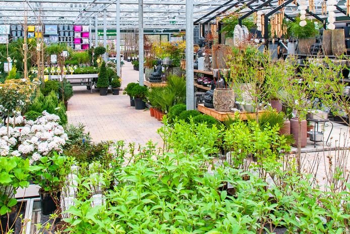 Tuincentrum Vechtweelde is vernieuwd! Dit is waarom je binnen wil ...