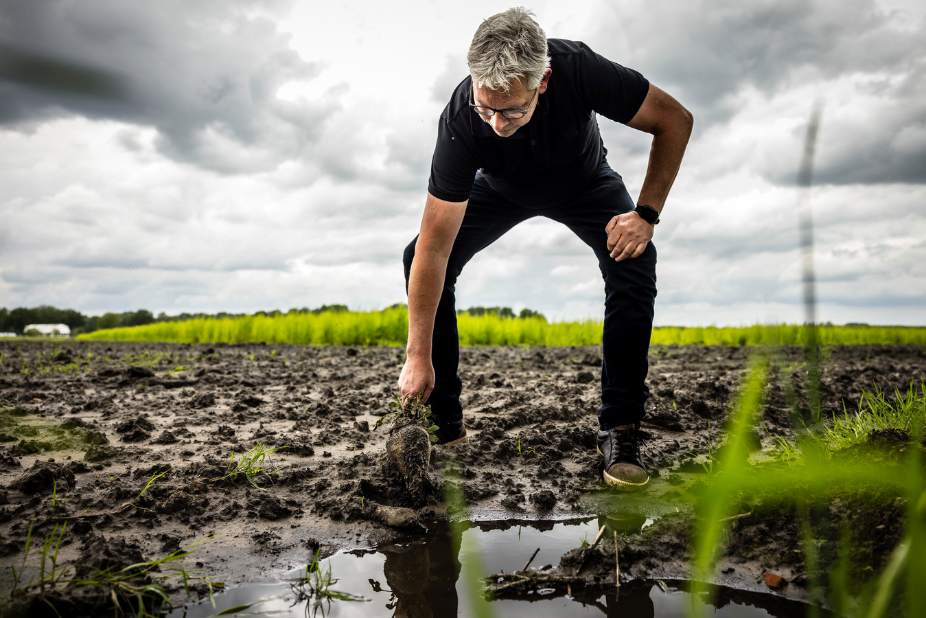 Zonder dieren is ook de mens verloren: ‘Waarom zo onbarmhartig tegen in ...