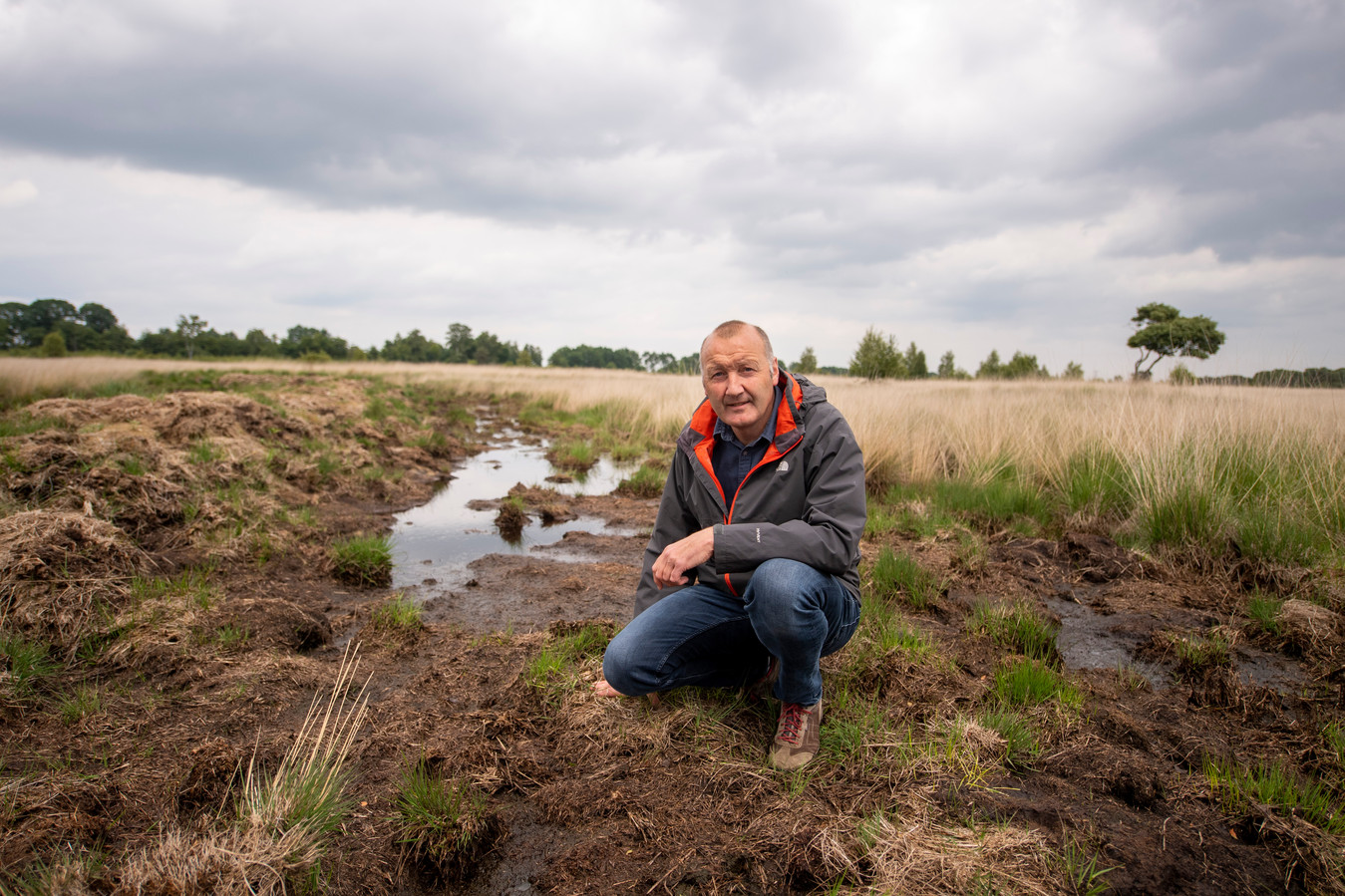 Beheerder Wierdense Veld: ‘Het is alle hens aan dek om stikstof te ...