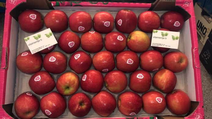 Koop een kilo Pink Lady appels bij groenten- en fruitwinkel Vitamientje ...