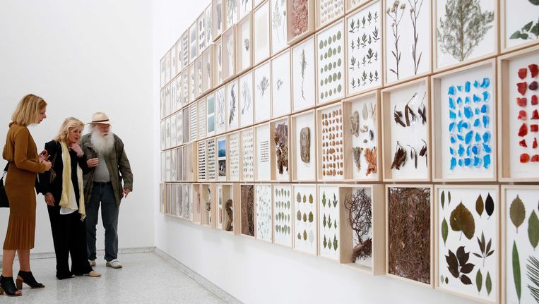 'Musea, betaal uw kunstenaars' | De Volkskrant