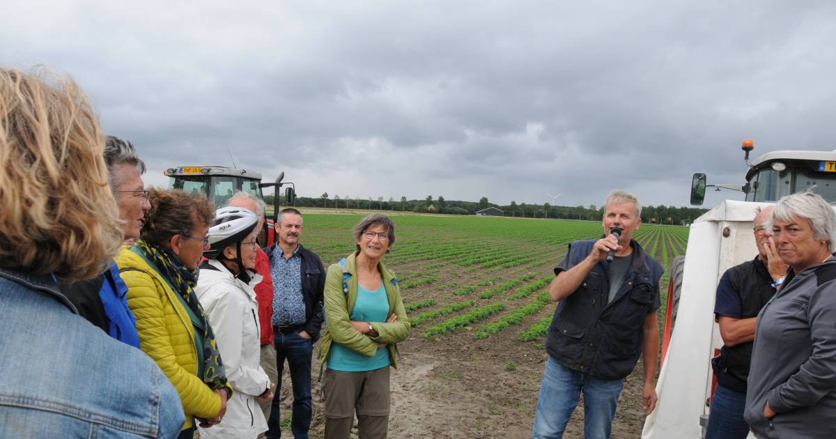 Wie de enige boerenkoolteler van Zeeland is en hoe een dikbil bevalt ...