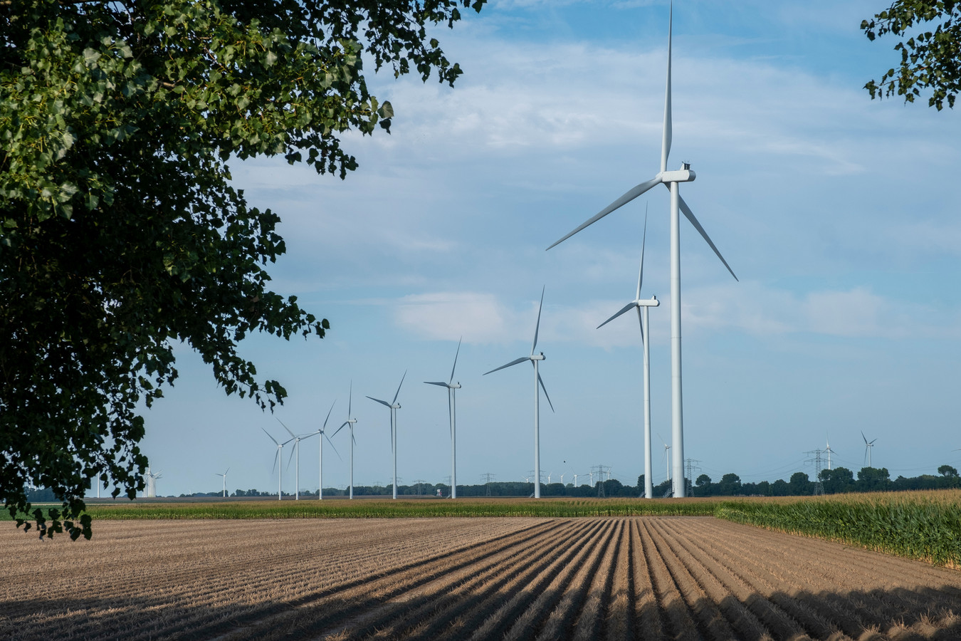 Hier opent het grootste windpark van Nederland (en het is volledig ...