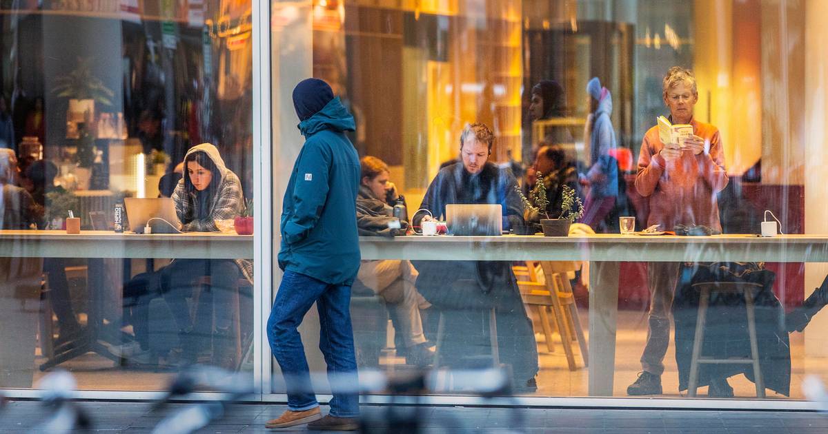 Centrale Bibliotheek ‘hotspot’ voor de Haagse koukleumer: ‘Het is hier ...
