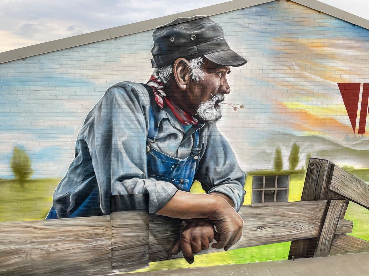 Graffitikunstenares Djoels zorgt voor enorme ode aan landbouwleven in ...