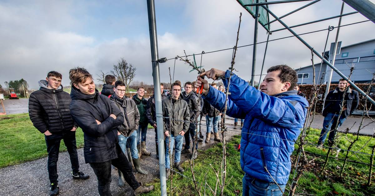 Docent uit Asch valt vooral de passie op bij zijn mbo-studenten: ‘Ze ...