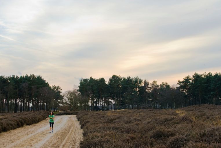 Voor uw gezondheid is 50 minuten joggen per week genoeg: frequentie ...