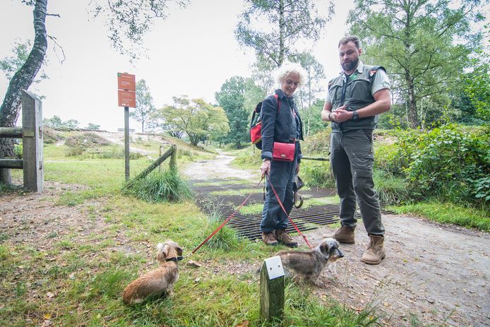 Utrechtse boswachters treden streng op na aanvallen op schapen en reeën ...