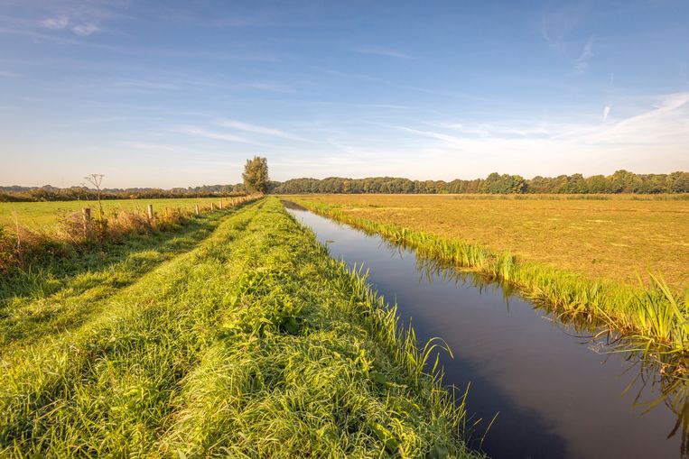 Kwaliteit van water in sloten en grachten sterk onder de maat
