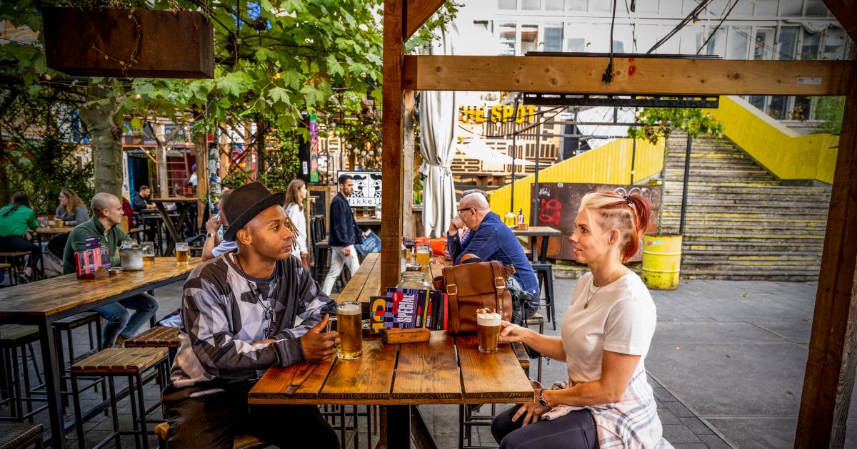 Waarom Rotterdam een heel saaie stad dreigt te worden: ‘Rauwe randjes ...