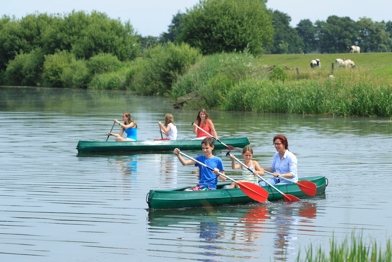 Het fietspontje over de Vecht piept en kraakt | Foto | tubantia.nl
