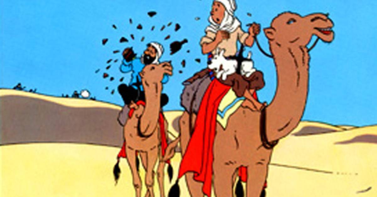 Vermoedelijke dief gestolen Kuifje-album gearresteerd | Binnenland | hln.be