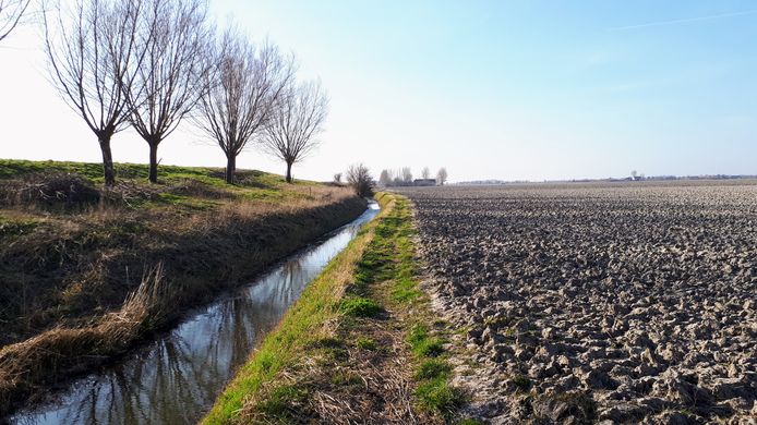 Zeeuwse boeren meten zelf of het water in de sloot zoet genoeg is ...