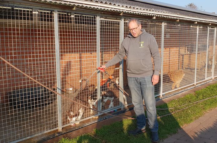 Politie valt binnen bij kennels van ‘broodfokker’ Felicanis: “We zorgen ...