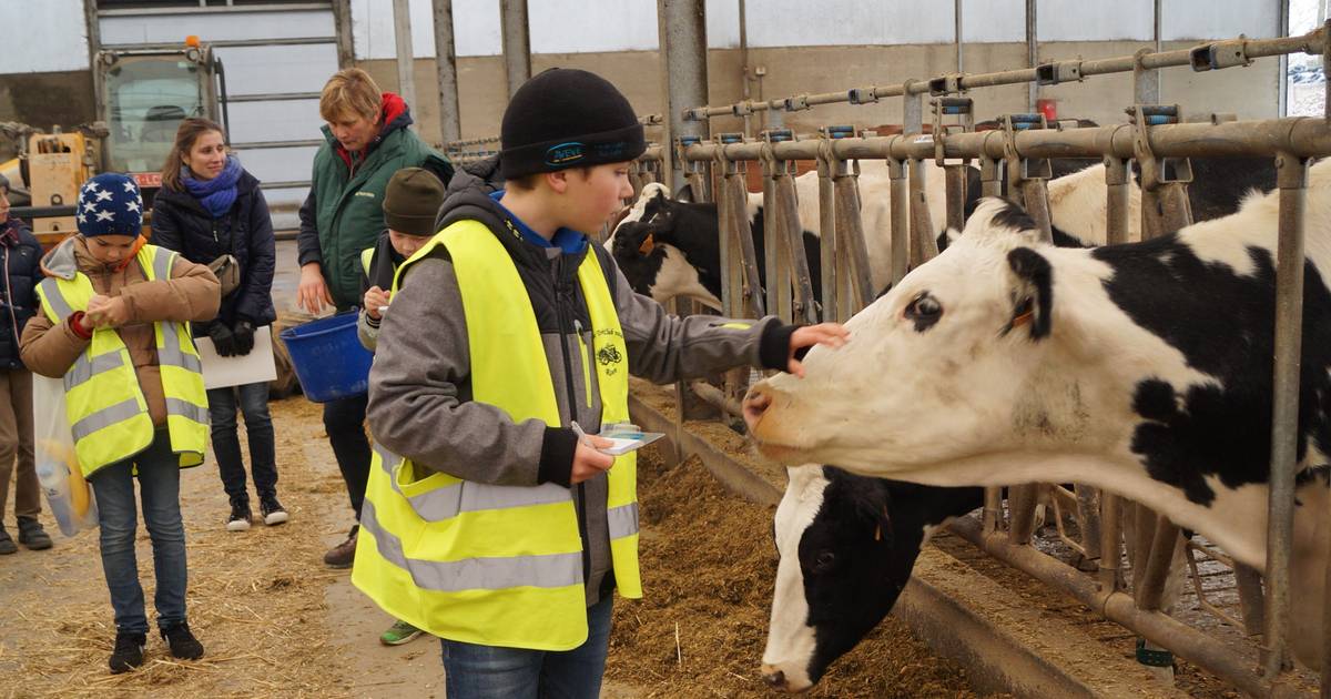 Scholieren maken kennis met landbouwleven: “Belangrijk dat kinderen ... Scholieren maken kennis met landbouwleven: “Belangrijk dat kinderen ...