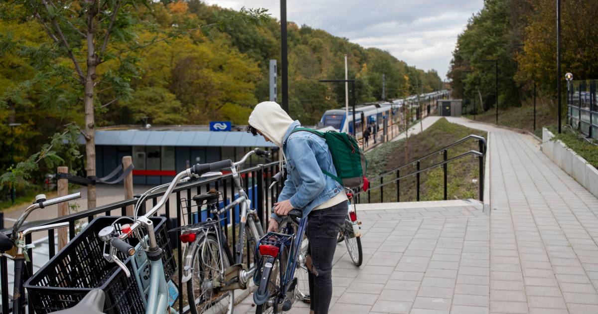 Rhenen pakt foutparkeren fietsen bij het station aan | Rhenen ...