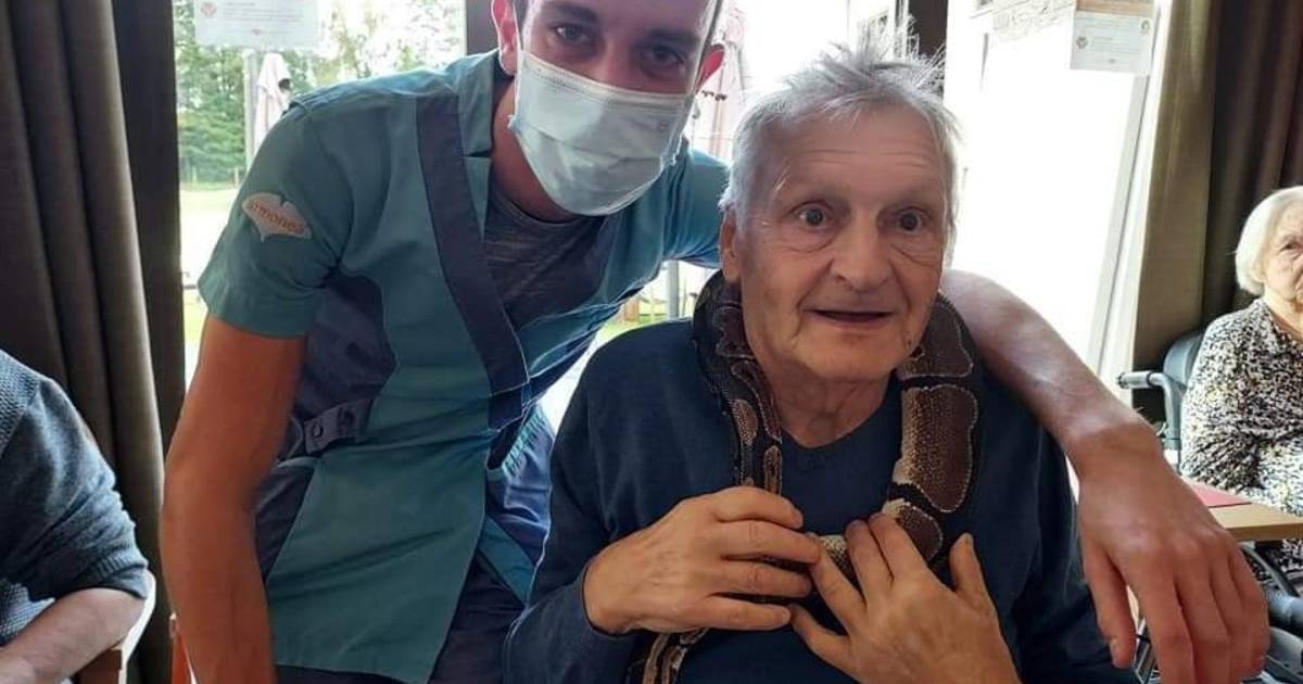 Een hele week Werelddierendag in woonzorgcentrum De Vlamme | Zottegem ...