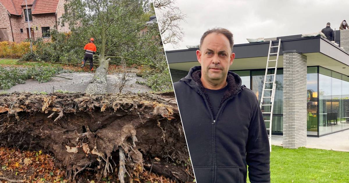 OVERZICHT. Storm Ciarán laat spoor van vernieling achter in Vlaanderen ...