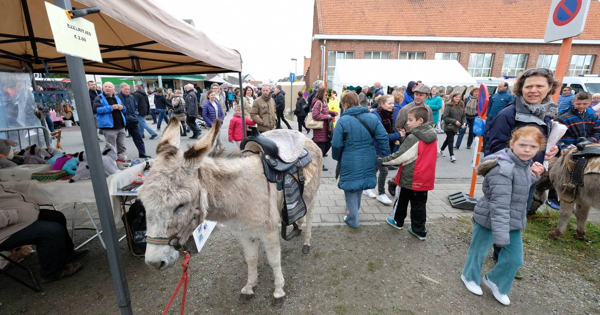 Posse Leest maakt zich op voor topeditie | Mechelen | hln.be