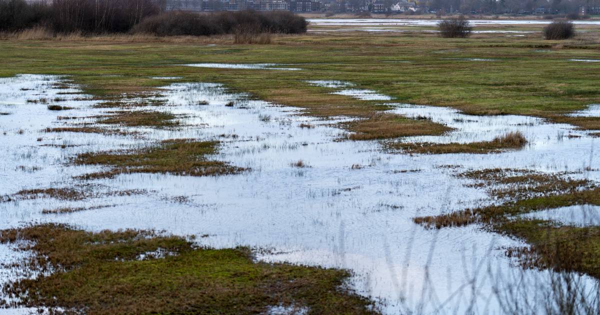 36 miljoen kubieke meter water opslaan? ‘Dat kan ook gewoon ondergronds ...