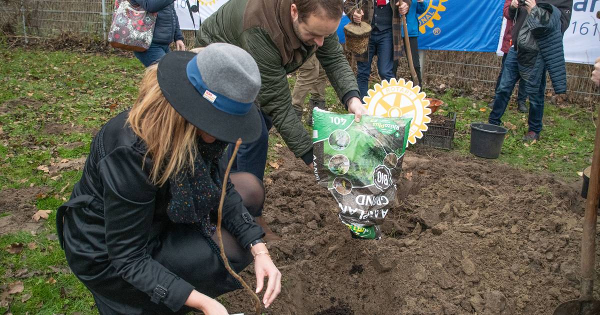 Sluiskil kan straks plukken en eten uit eigen voedselbos: ‘Boost voor ... Sluiskil kan straks plukken en eten uit eigen voedselbos: ‘Boost voor ...