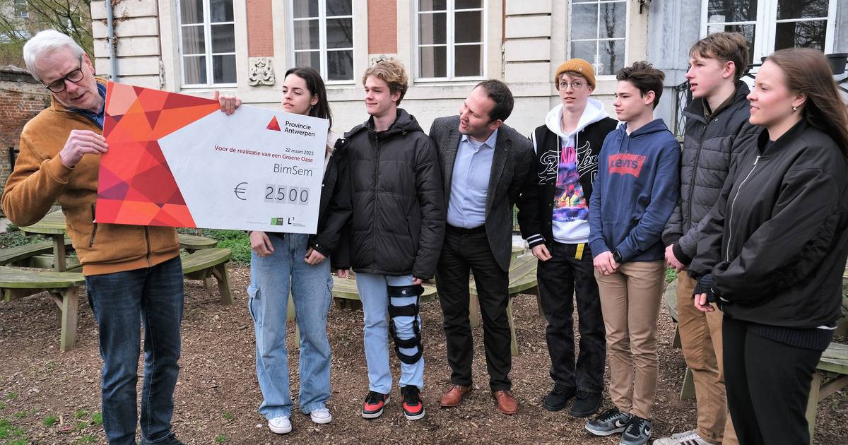 Zesdejaars BimSem maken ‘groene oase’ van speelplaats: “Hier is te veel steen” | Mechelen | hln.be