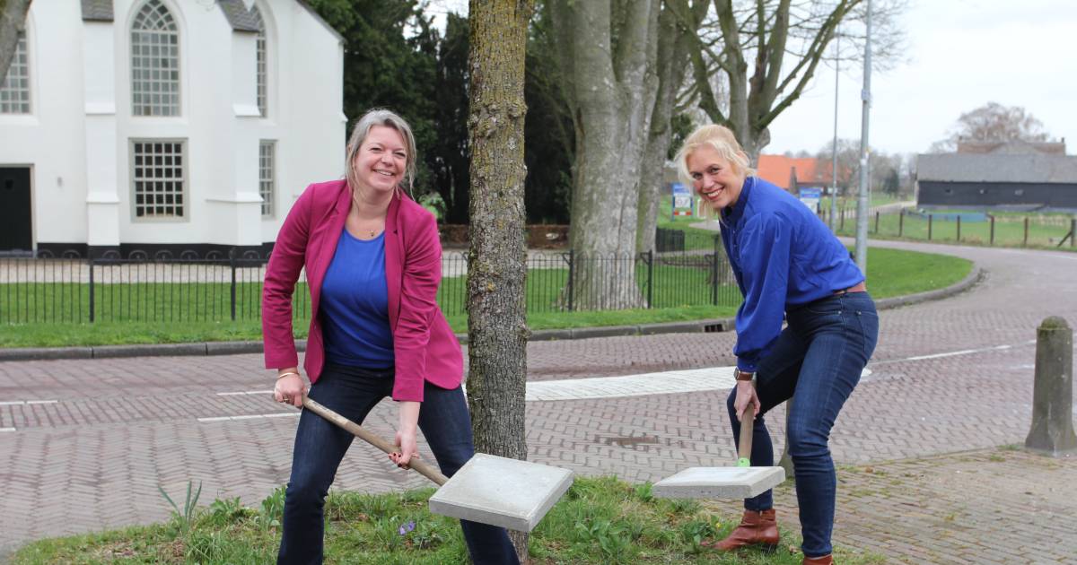 Culemborg daagt ‘buur’ Buren uit voor wedstrijdje tegelwippen | Buren ...