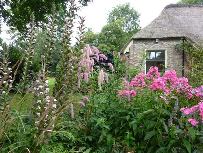 Open Tuinen Weekend in en om Apeldoorn | Apeldoorn | tubantia.nl