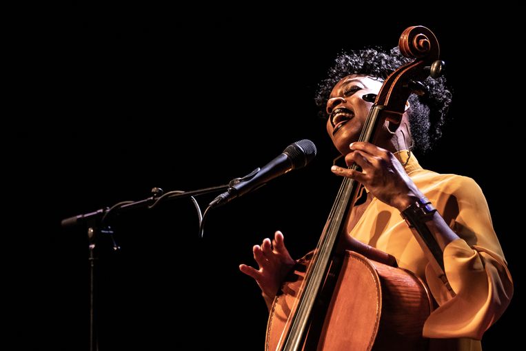 Was je al niet verliefd op de cello, dan word je dat op de biënnale ...