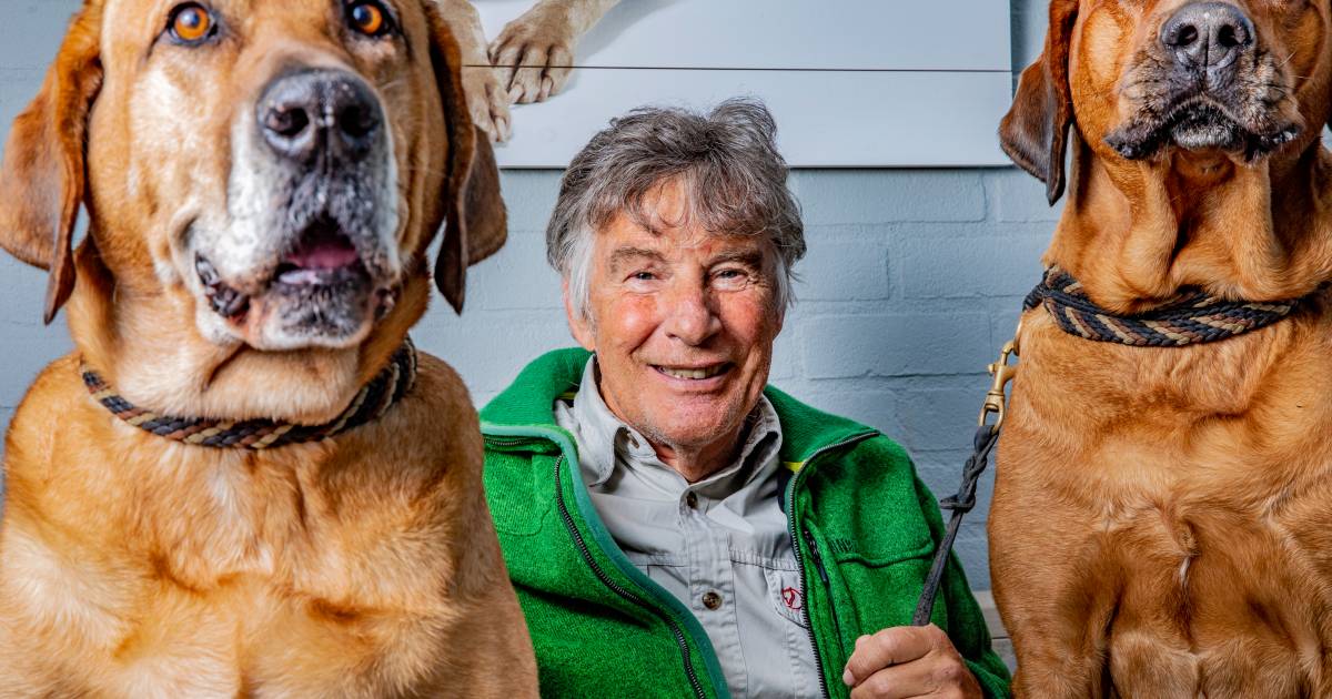 Martin Gaus was al doodverklaard, maar ‘blaft’ nu weer als vanouds | De ...